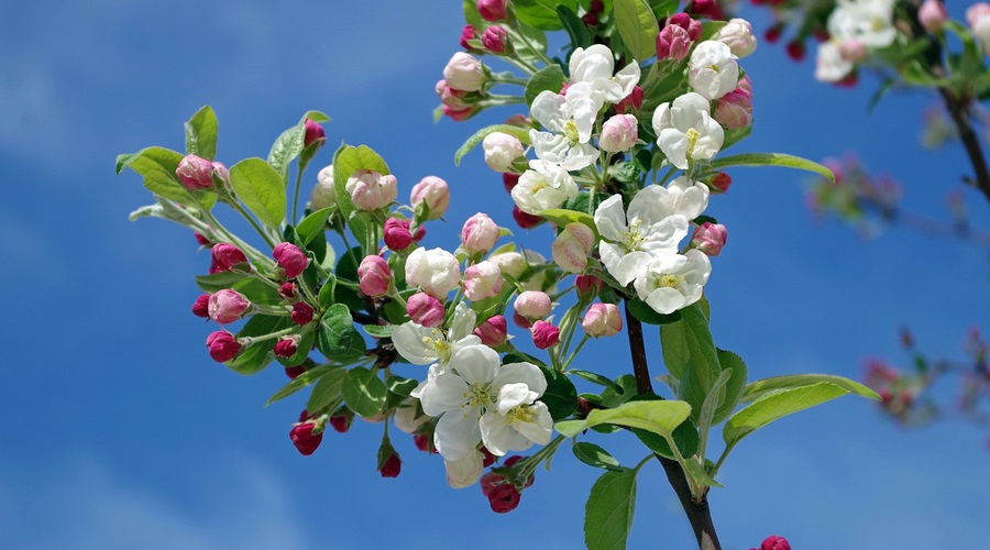 How Have You Been Creative In The Classroom?